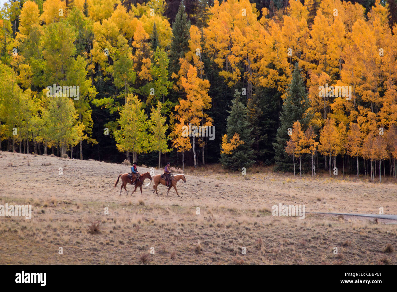 Two cowboys after long day of work on the ranch in Colorado Stock Photo ...