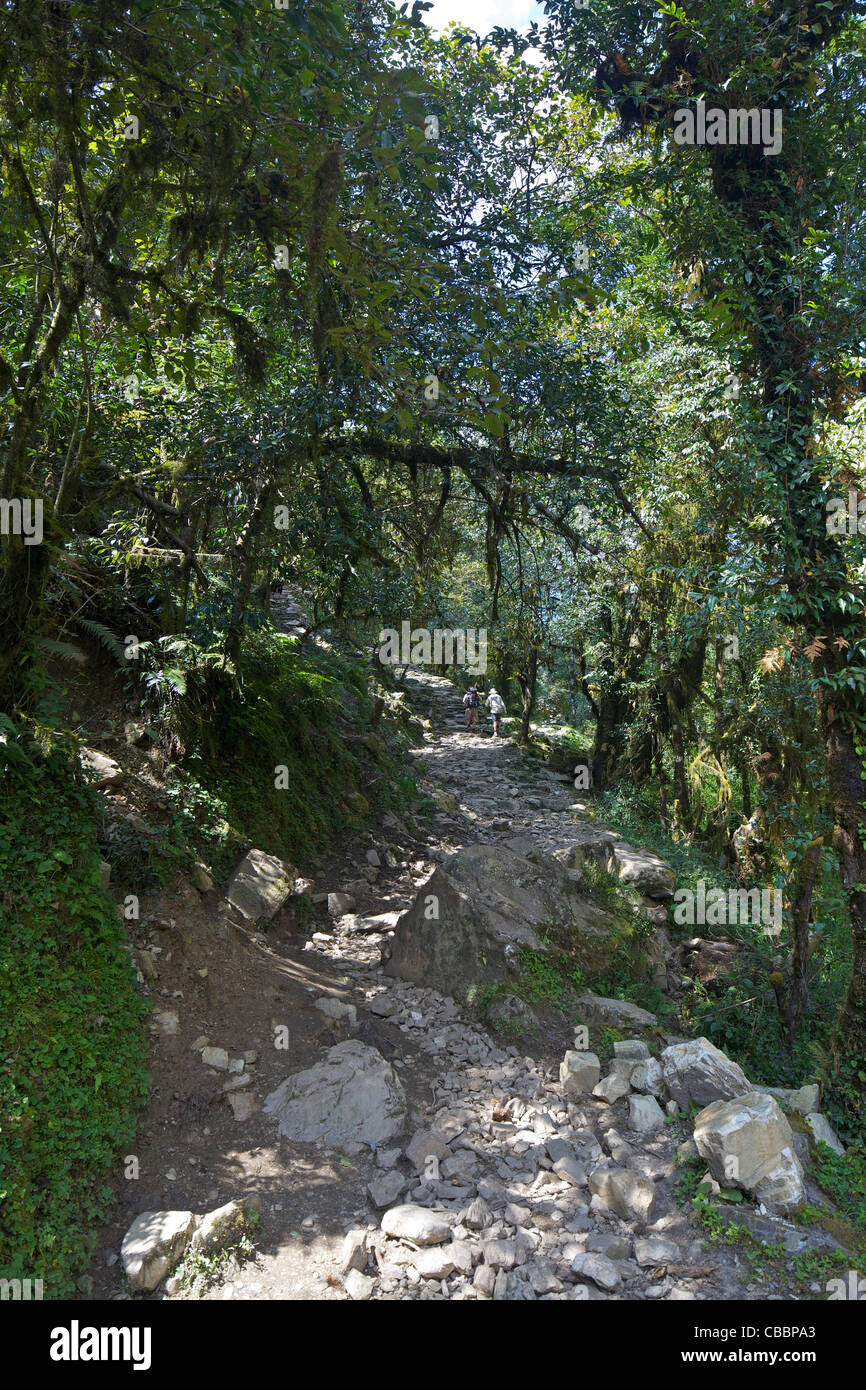 Trekkers walking track from Ulleri to Ghorepani, Annapurna Sanctuary ...