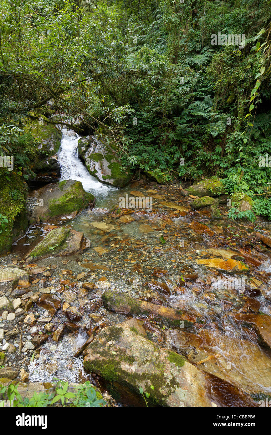 Waterfall on trek from Ulleri to Ghorepani, Annapurna Sanctuary Region ...