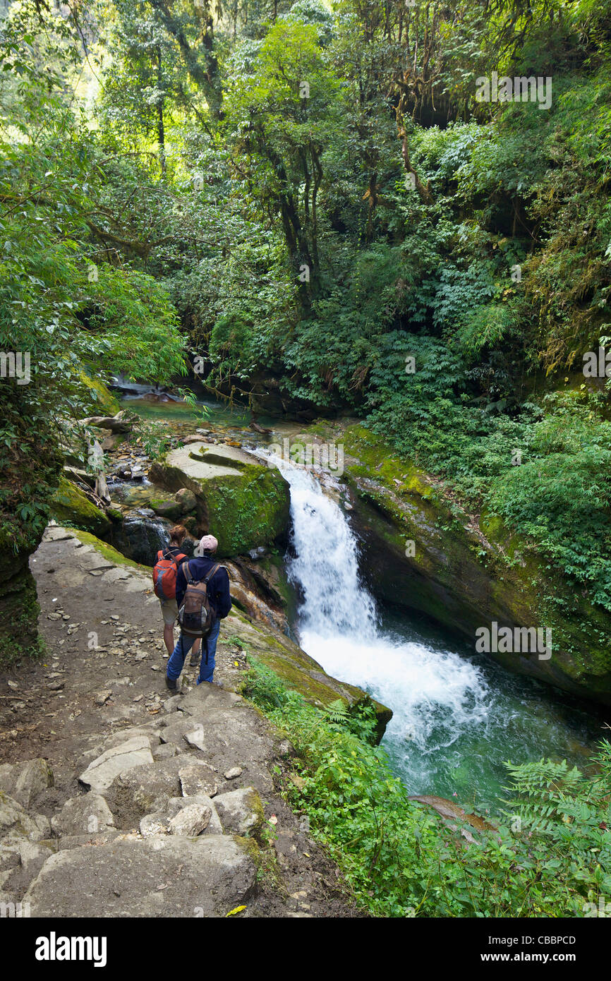 Waterfall on trek from Ulleri to Ghorepani, Annapurna Sanctuary Region ...