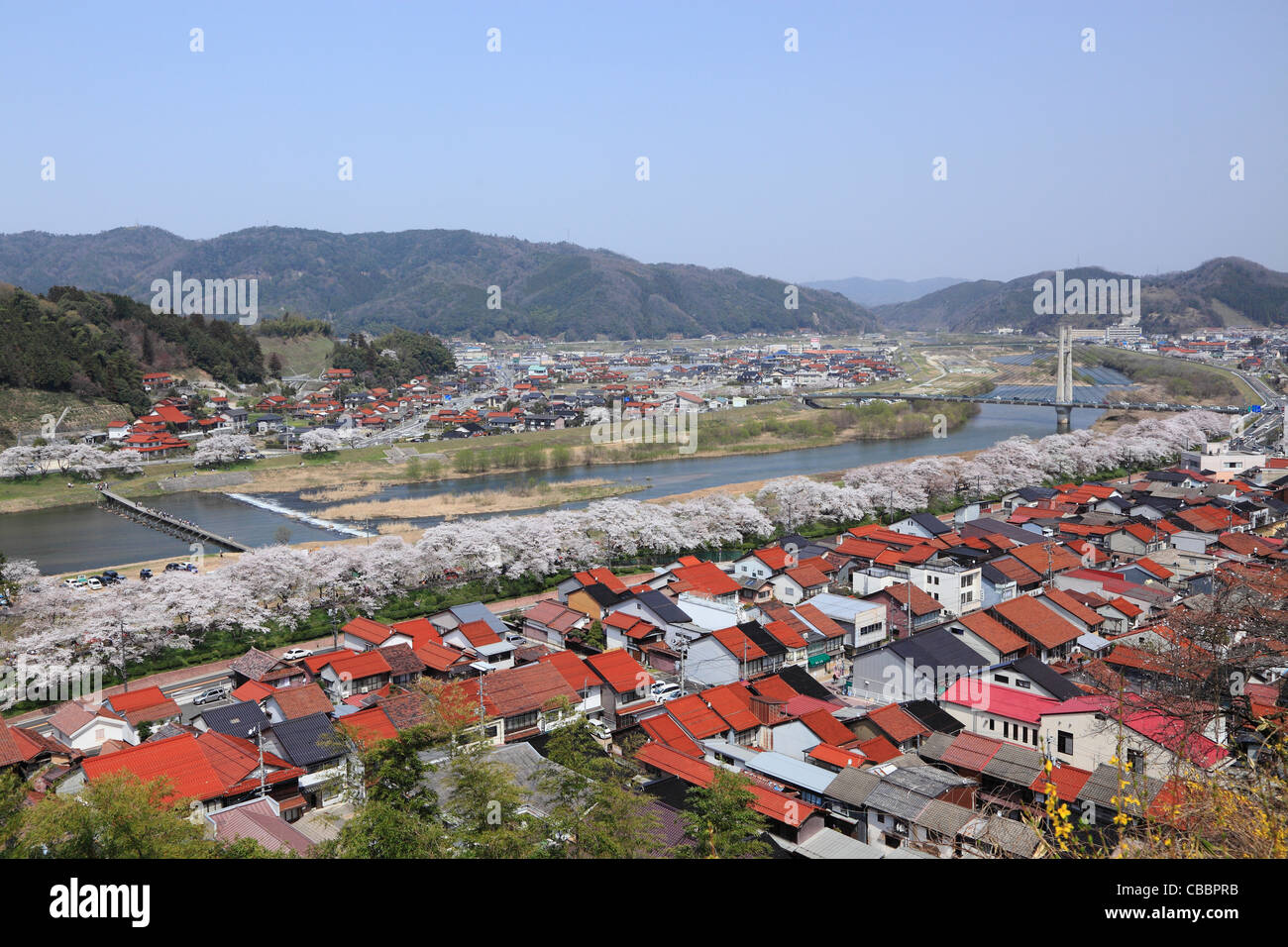 Cherry Blossoms at Hii River, Unnan, Shimane, Japan Stock Photo - Alamy