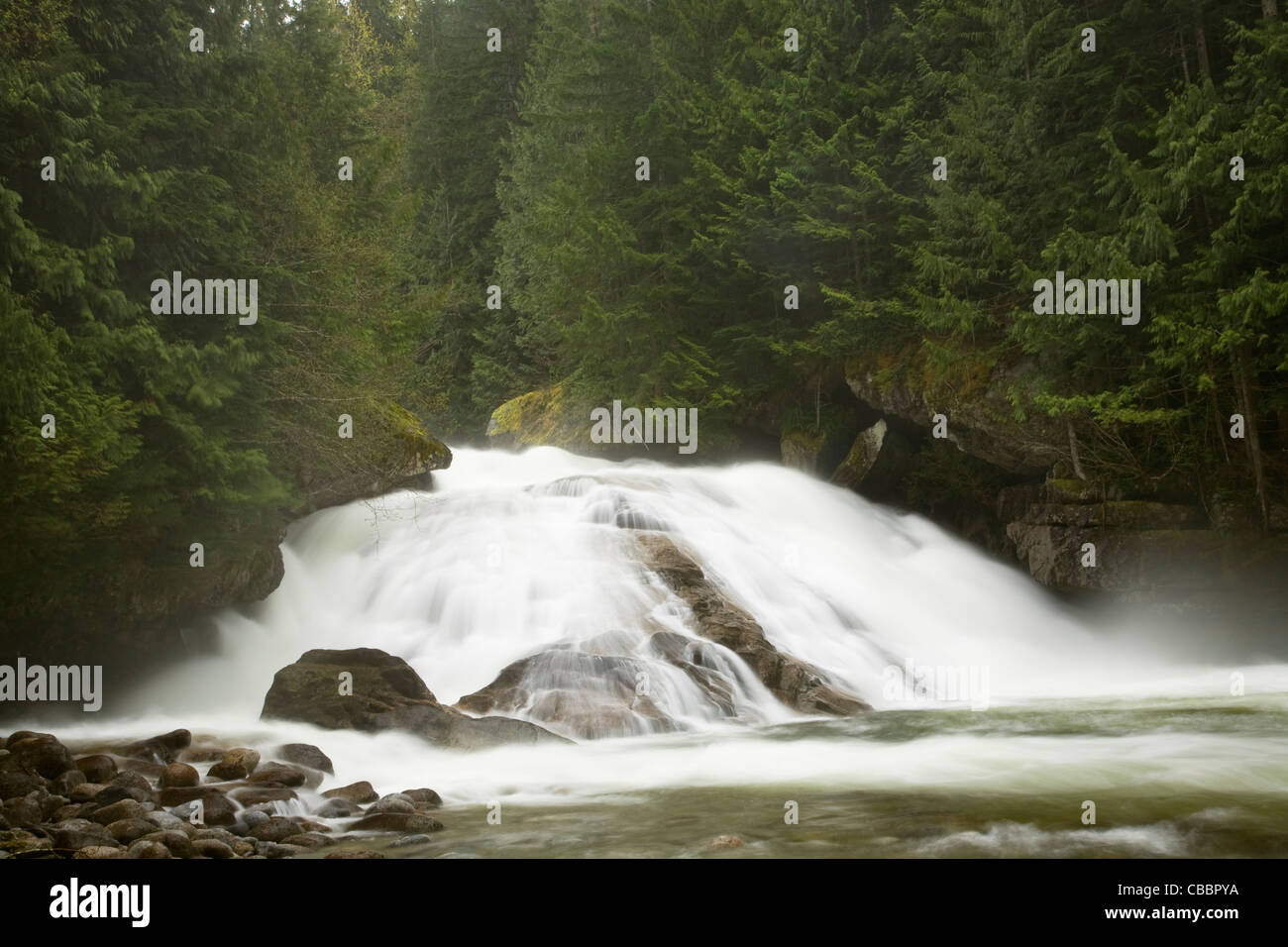 WASHINGTON - Alpine Falls on the Tye River in the Mount Baker ...