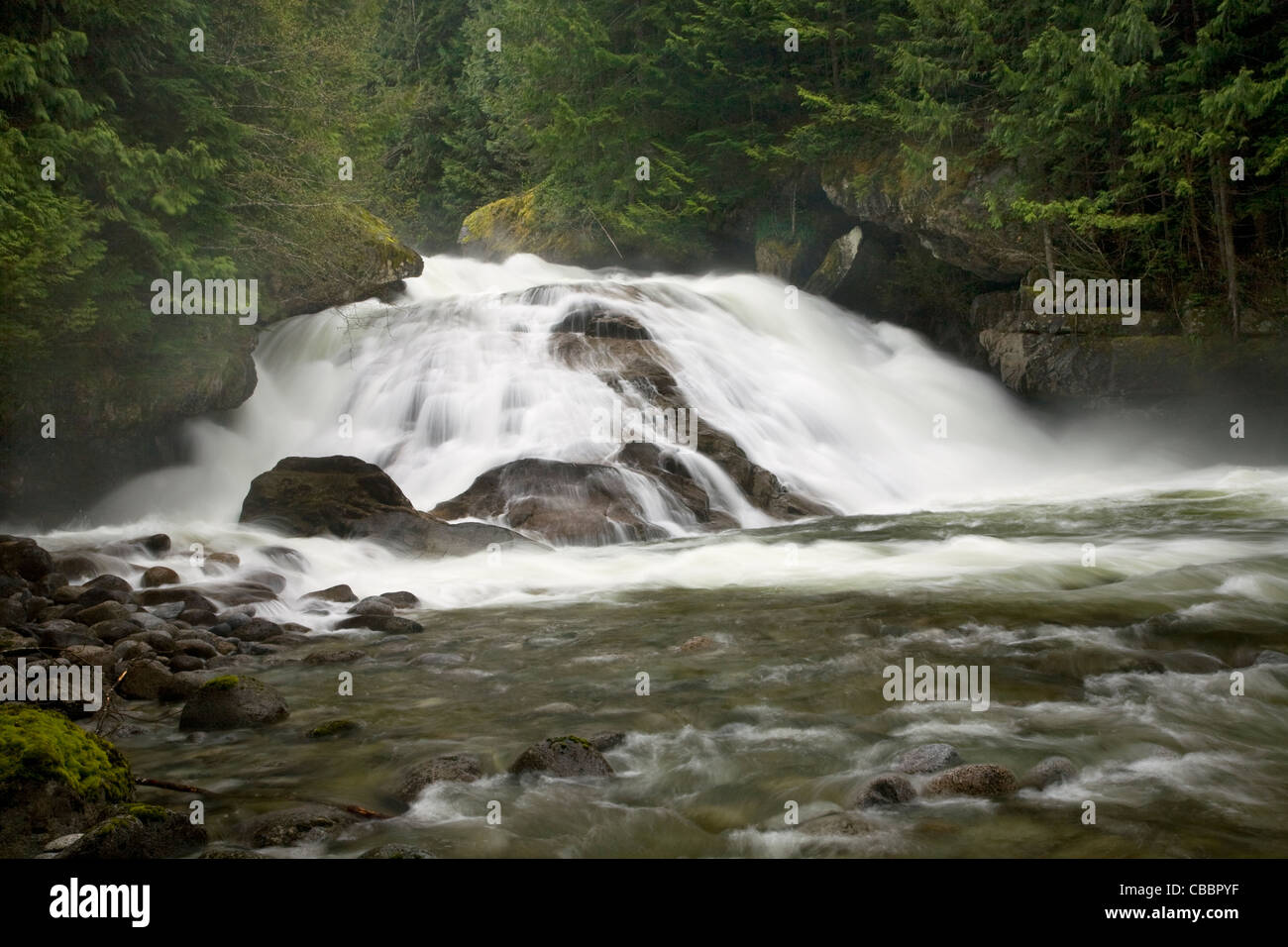 WASHINGTON - Alpine Falls on the Tye River in the Mount Baker ...