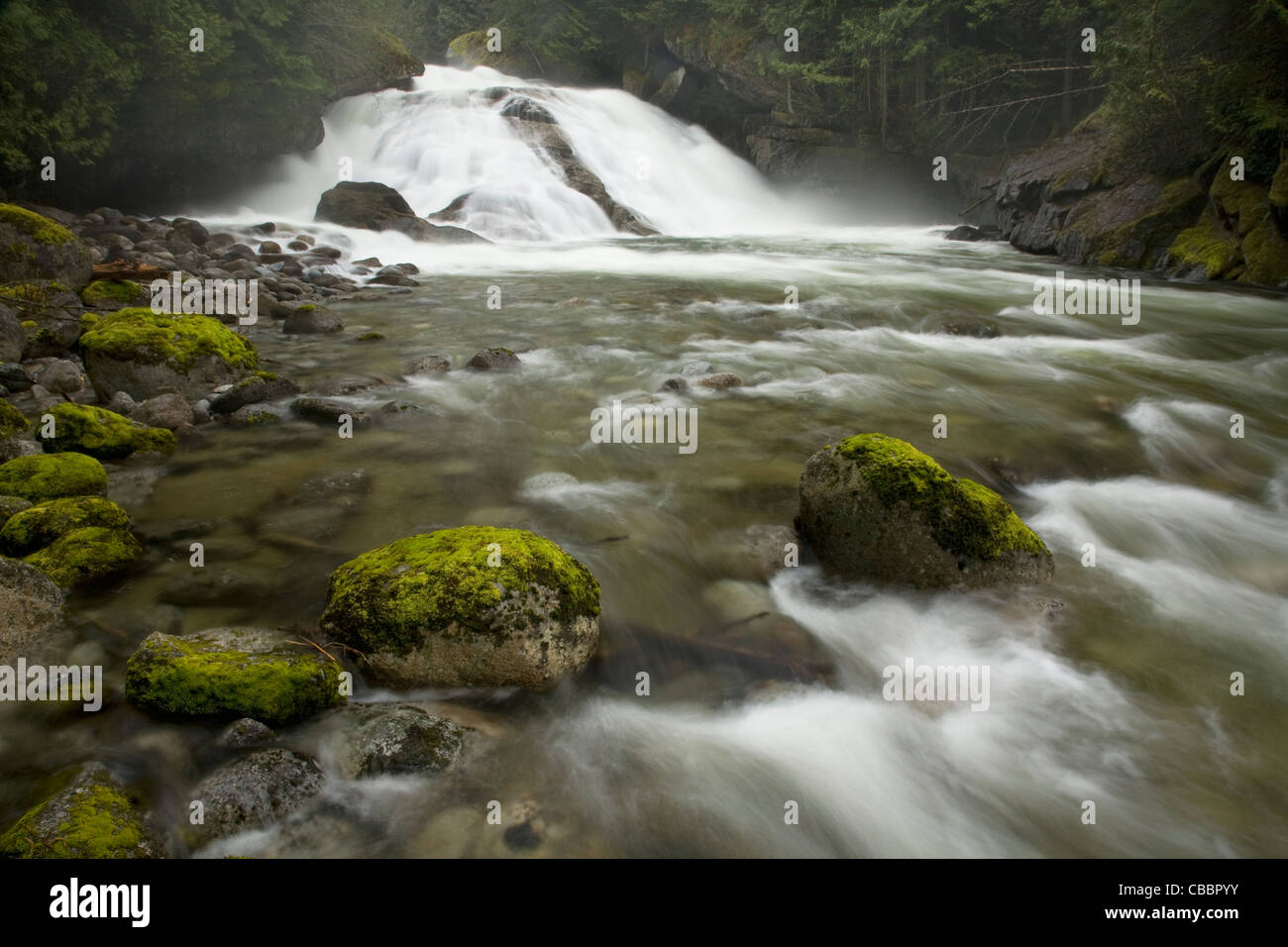 WASHINGTON - Alpine Falls on the Tye River in the Mount Baker ...