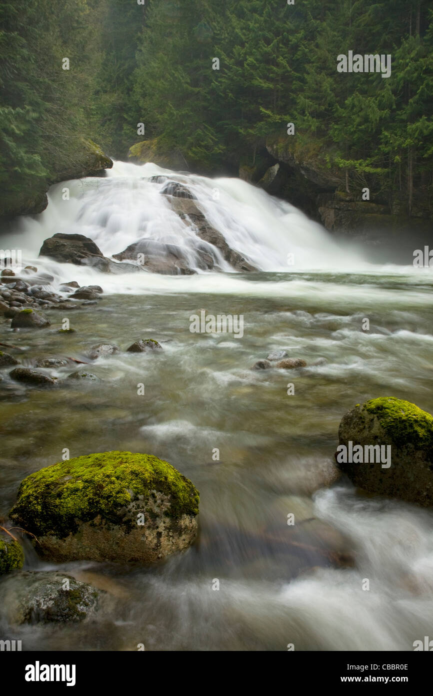 WASHINGTON - Alpine Falls on the Tye River in the Mount Baker ...