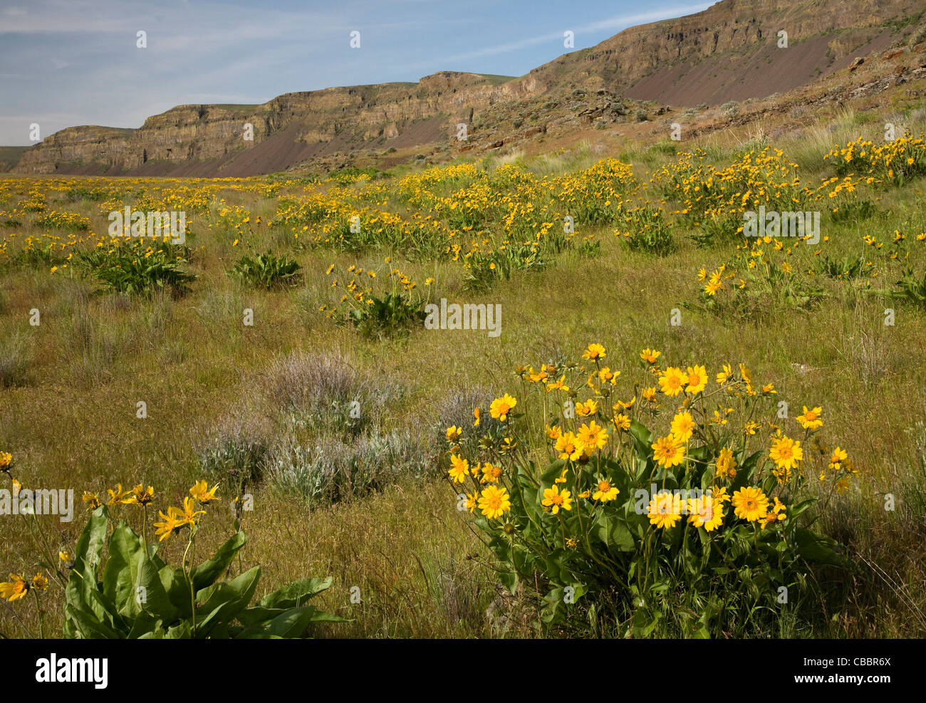 Alkali coulee hi-res stock photography and images - Alamy