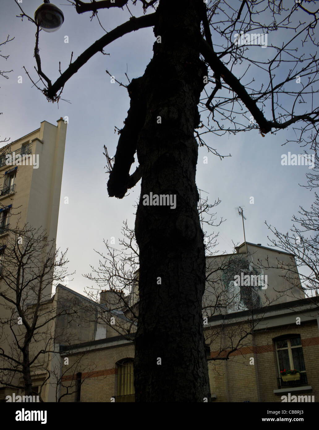 Life in the city, the wall of the beast., The austere nature of the ...