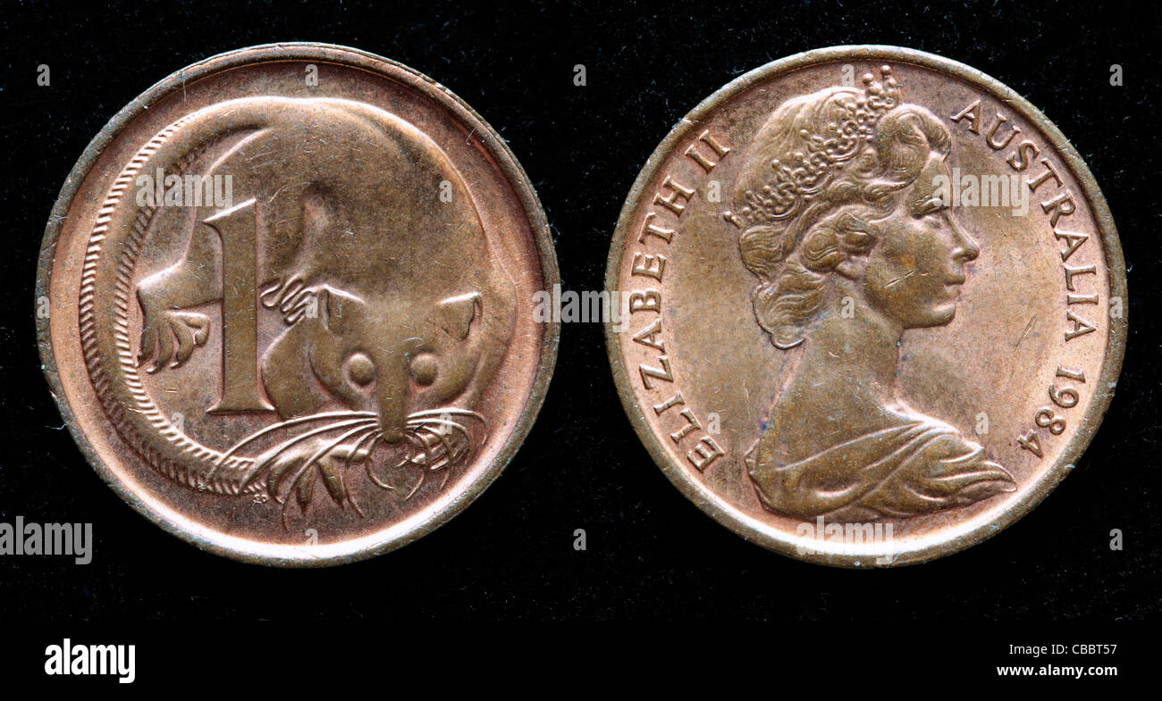 Possum isolated hi-res stock photography and images - Alamy