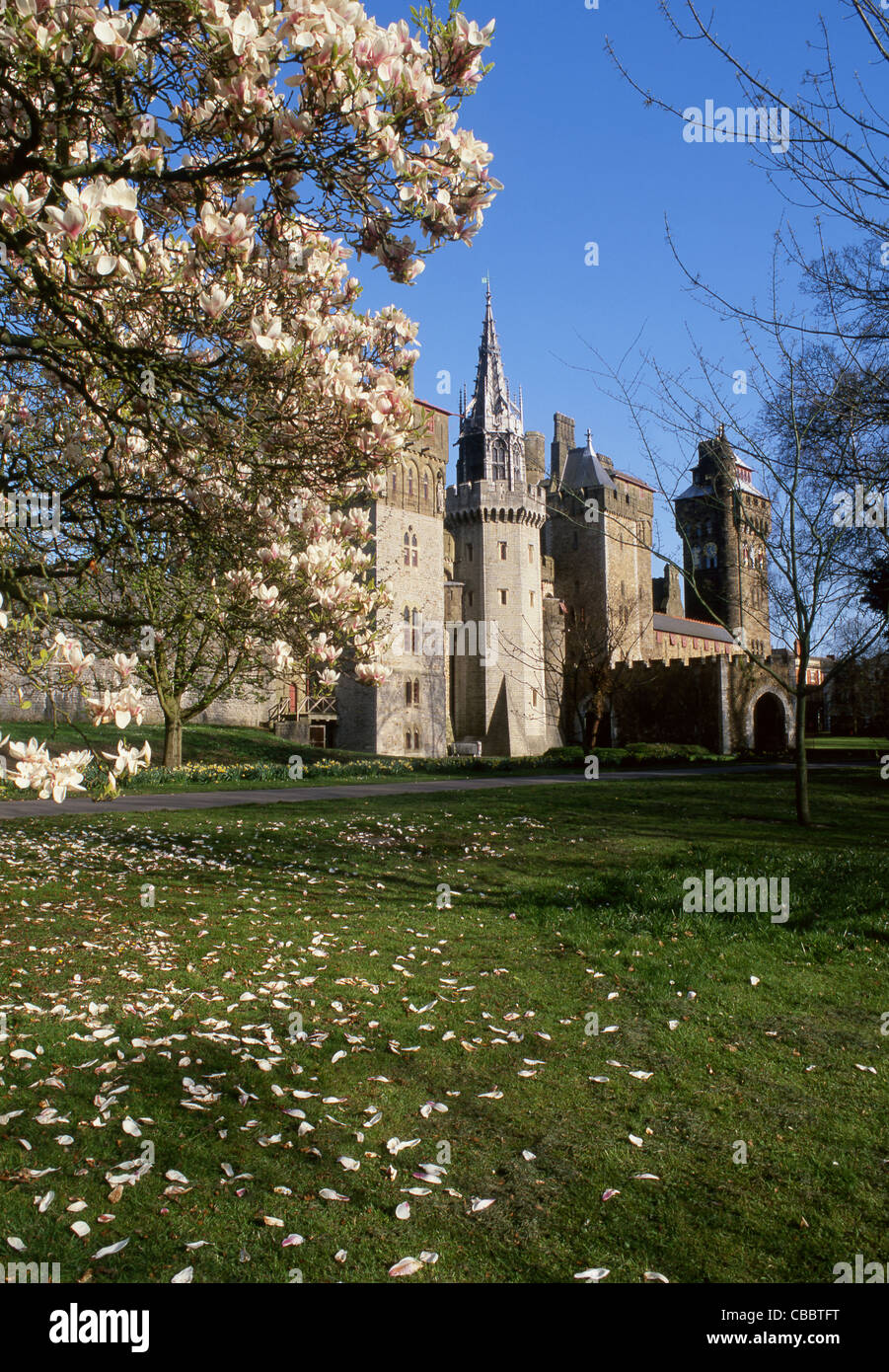 From bute park hi-res stock photography and images - Alamy