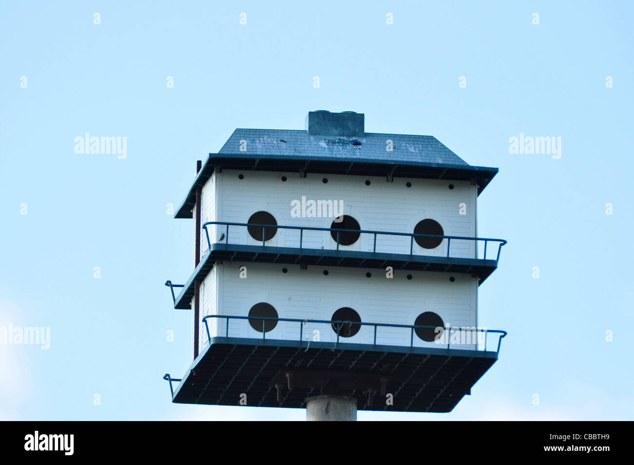 Multi Unit Bird House Stock Photo - Alamy