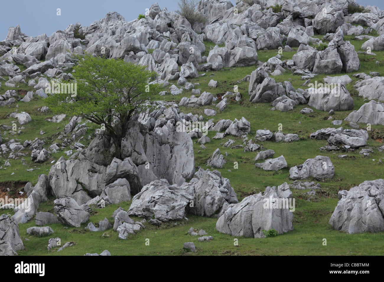 Shikoku Karst, Kumakogen, Ehime, Japan Stock Photo - Alamy