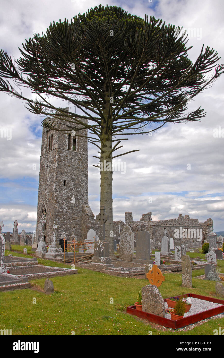 Slane Abbey slane valley Meath Ireland Uk founded in 1512 for 4 priests ...