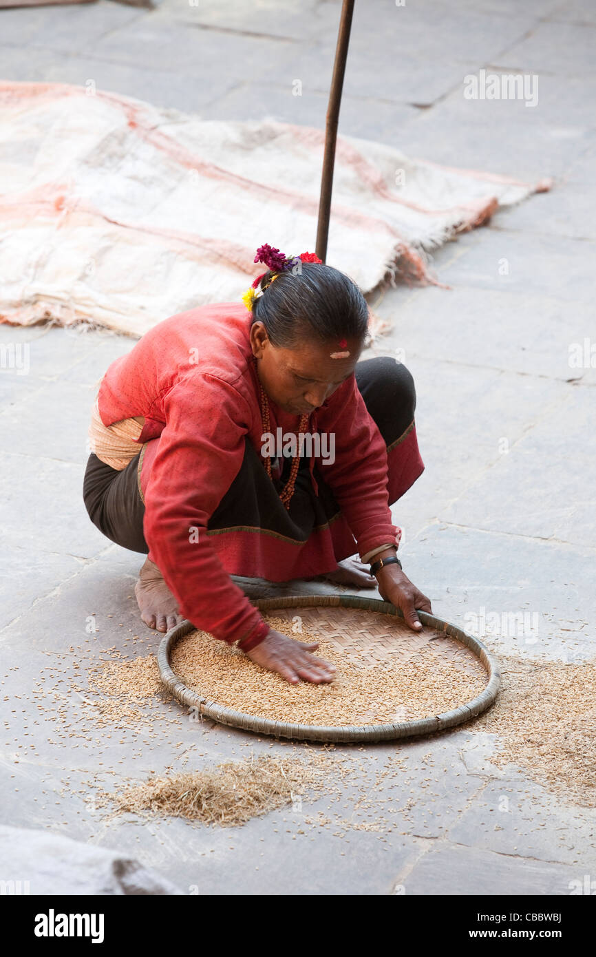 Woman winnowing rice - Bhaktapur, Kathmandu Valley, Nepal Stock Photo ...