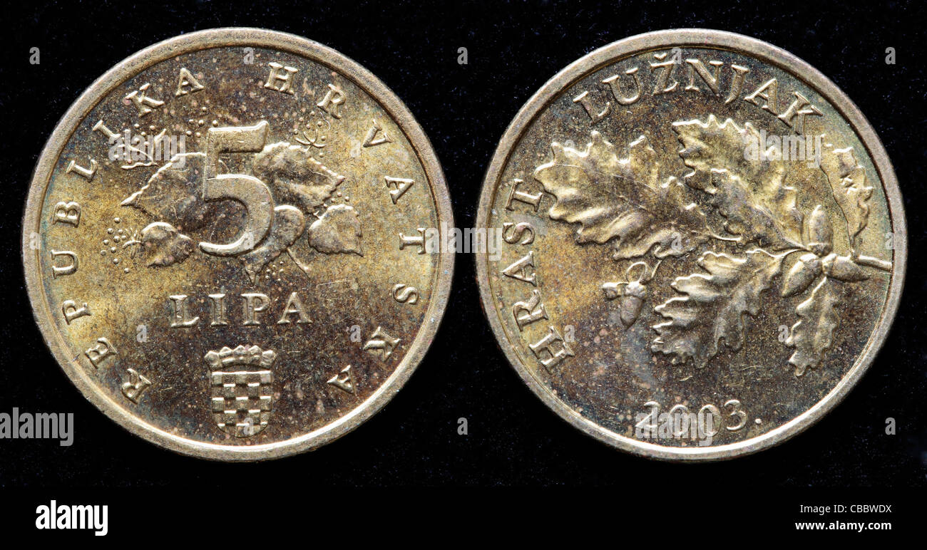 5 Lipa coin, Croatia, 2003 Stock Photo - Alamy