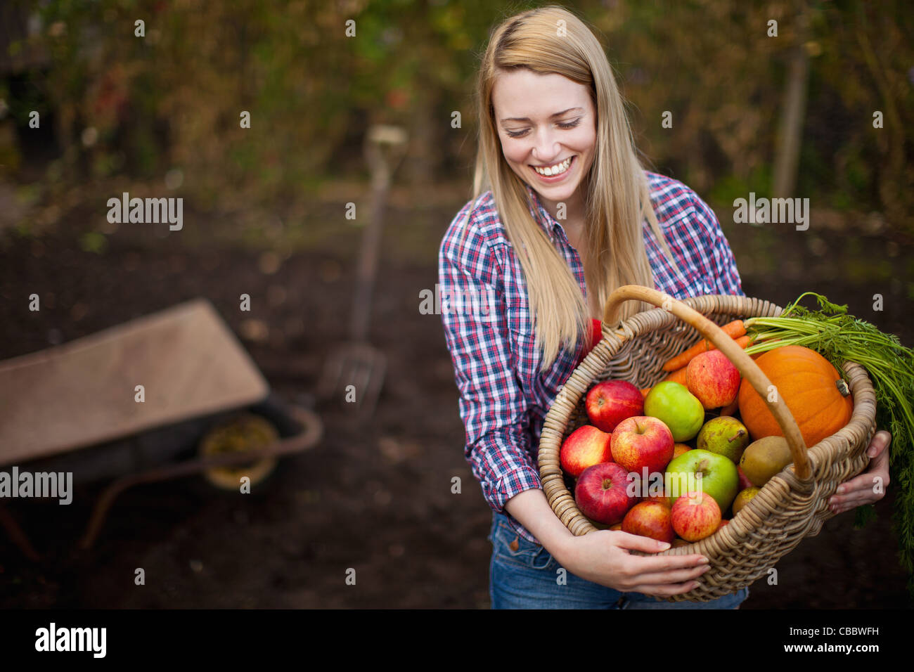 Woman gathering vegetables in garden Stock Photo - Alamy