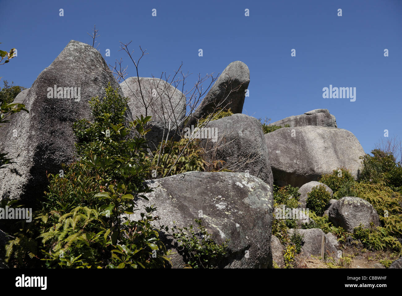 Kochi culture hi-res stock photography and images - Alamy