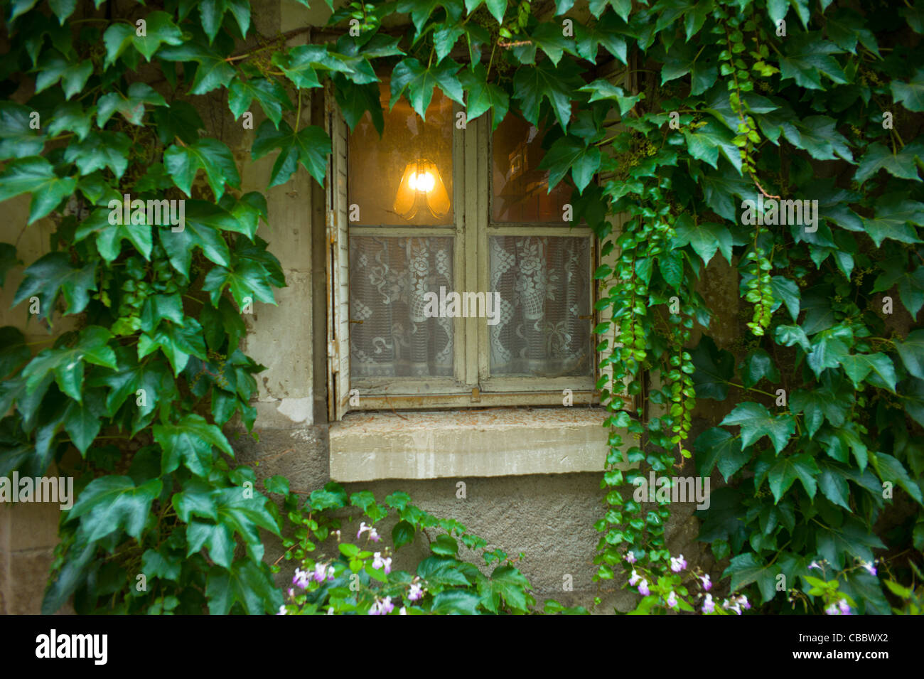 View from Window, French countryside in summer Stock Photo - Alamy