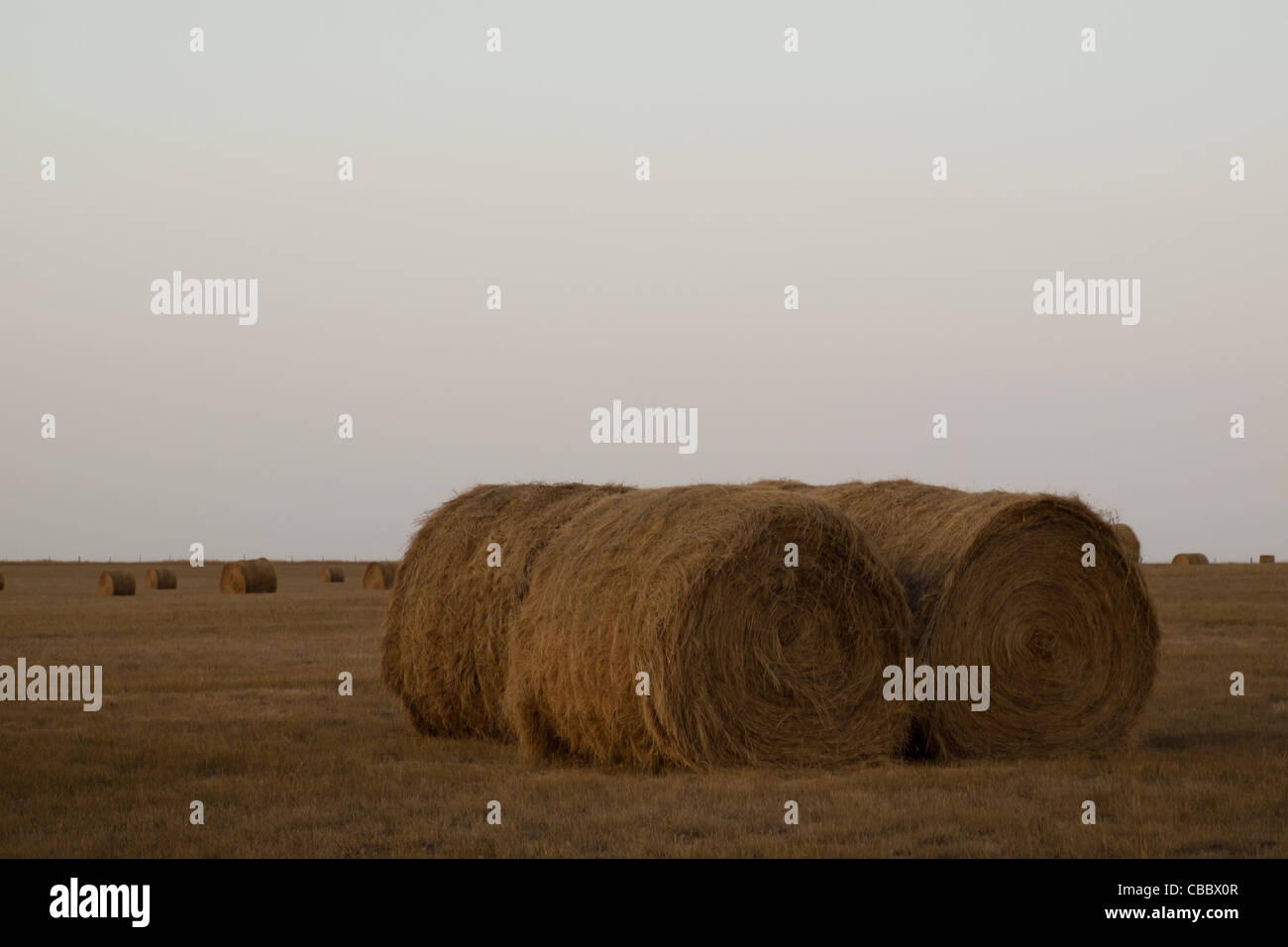 Haystack on the farm at sunset Stock Photo - Alamy
