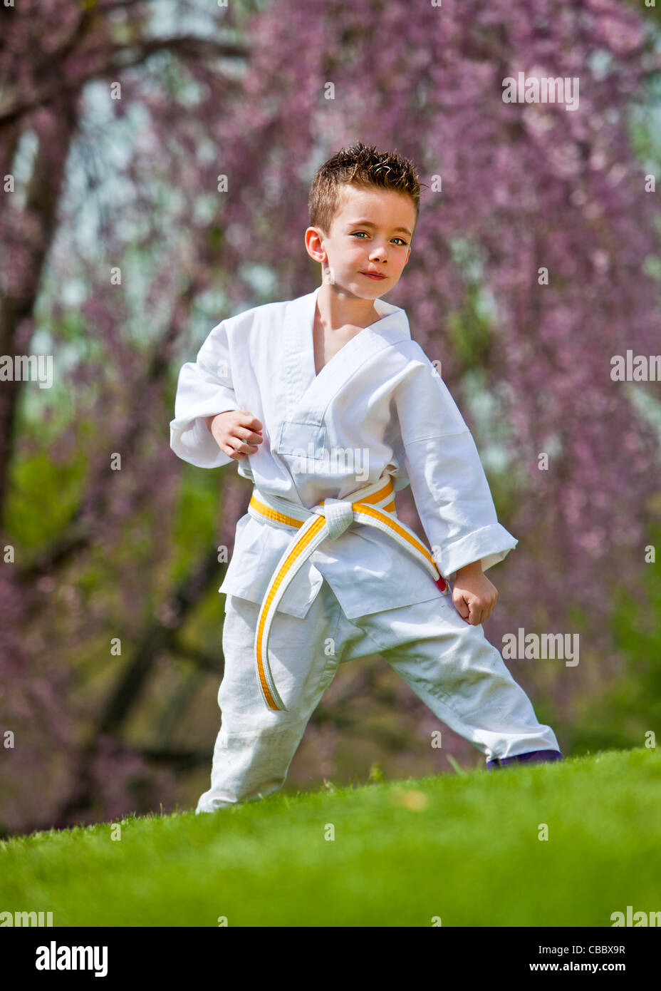 Karate expert hi-res stock photography and images - Alamy