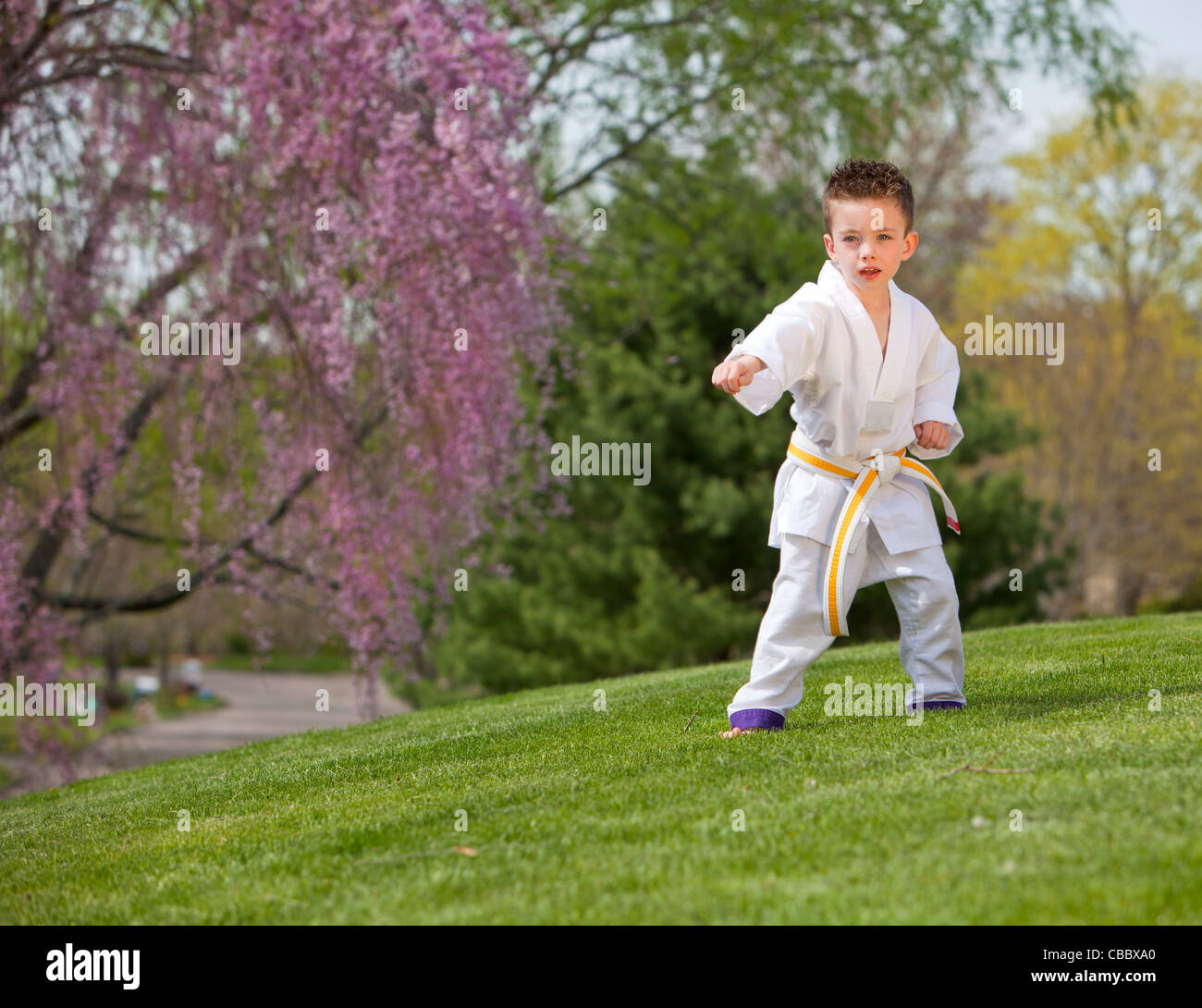 Young boy practicing martial arts outside in spring Stock Photo - Alamy