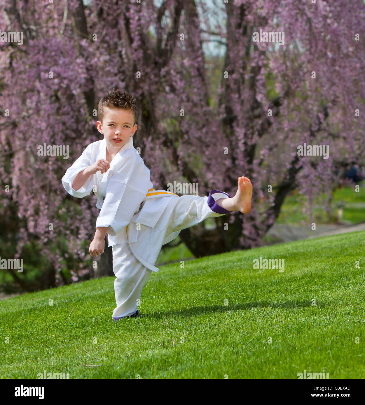Young boy practicing martial arts outside in spring Stock Photo - Alamy