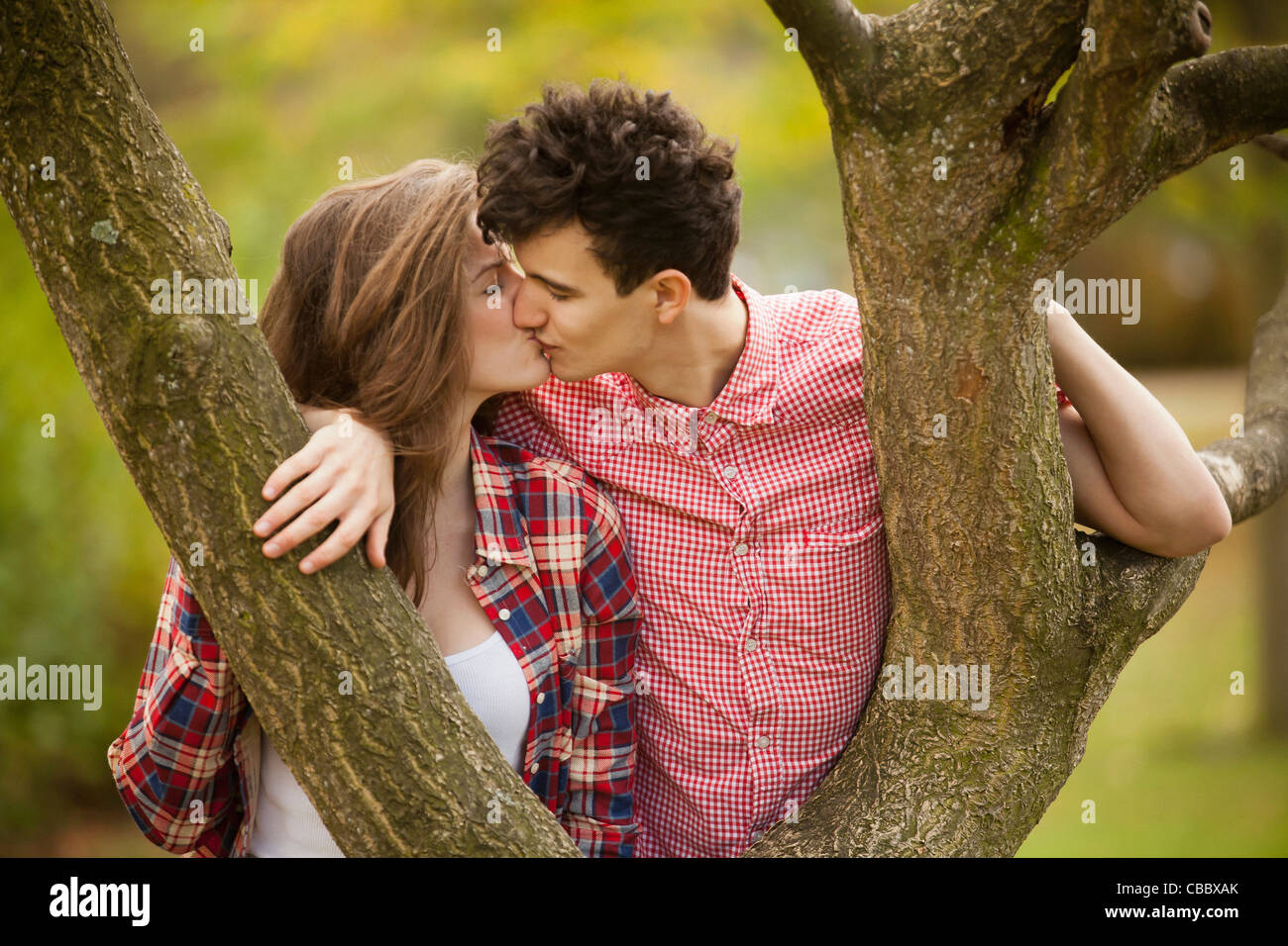 Teenage couple kissing in tree in park Stock Photo - Alamy
