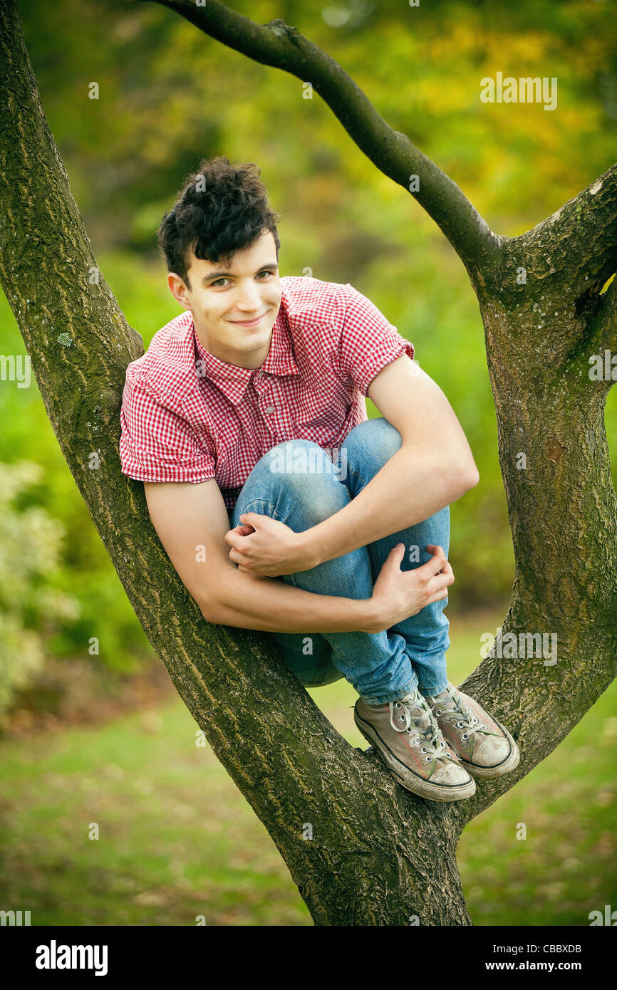 Teenage boy climbing tree in park Stock Photo - Alamy