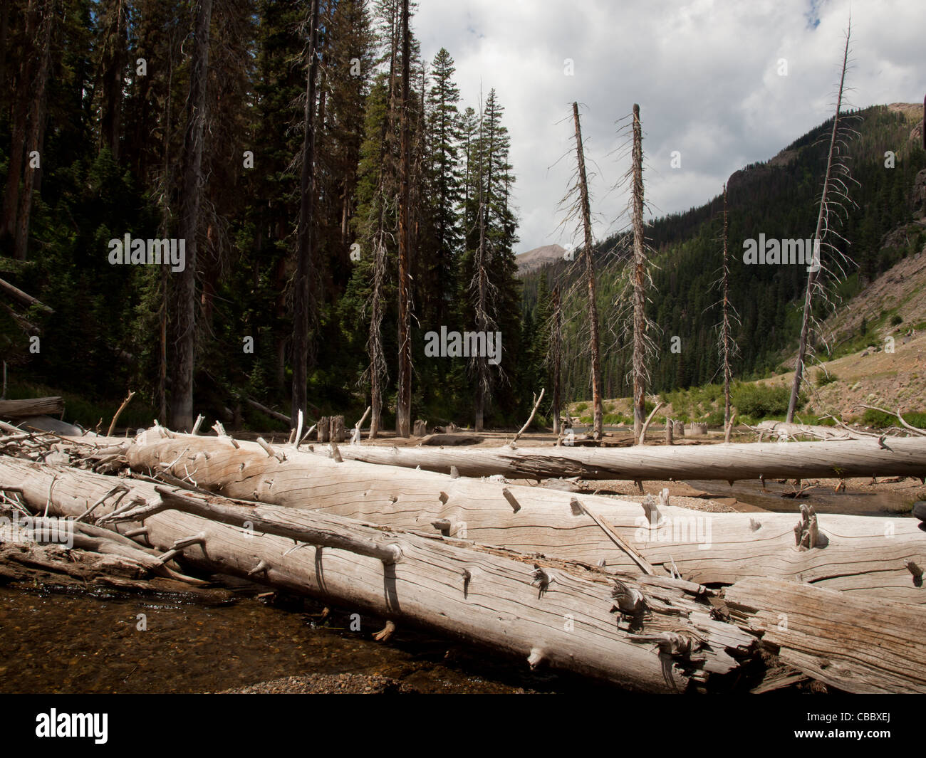 Rio grande national forest hi-res stock photography and images - Alamy