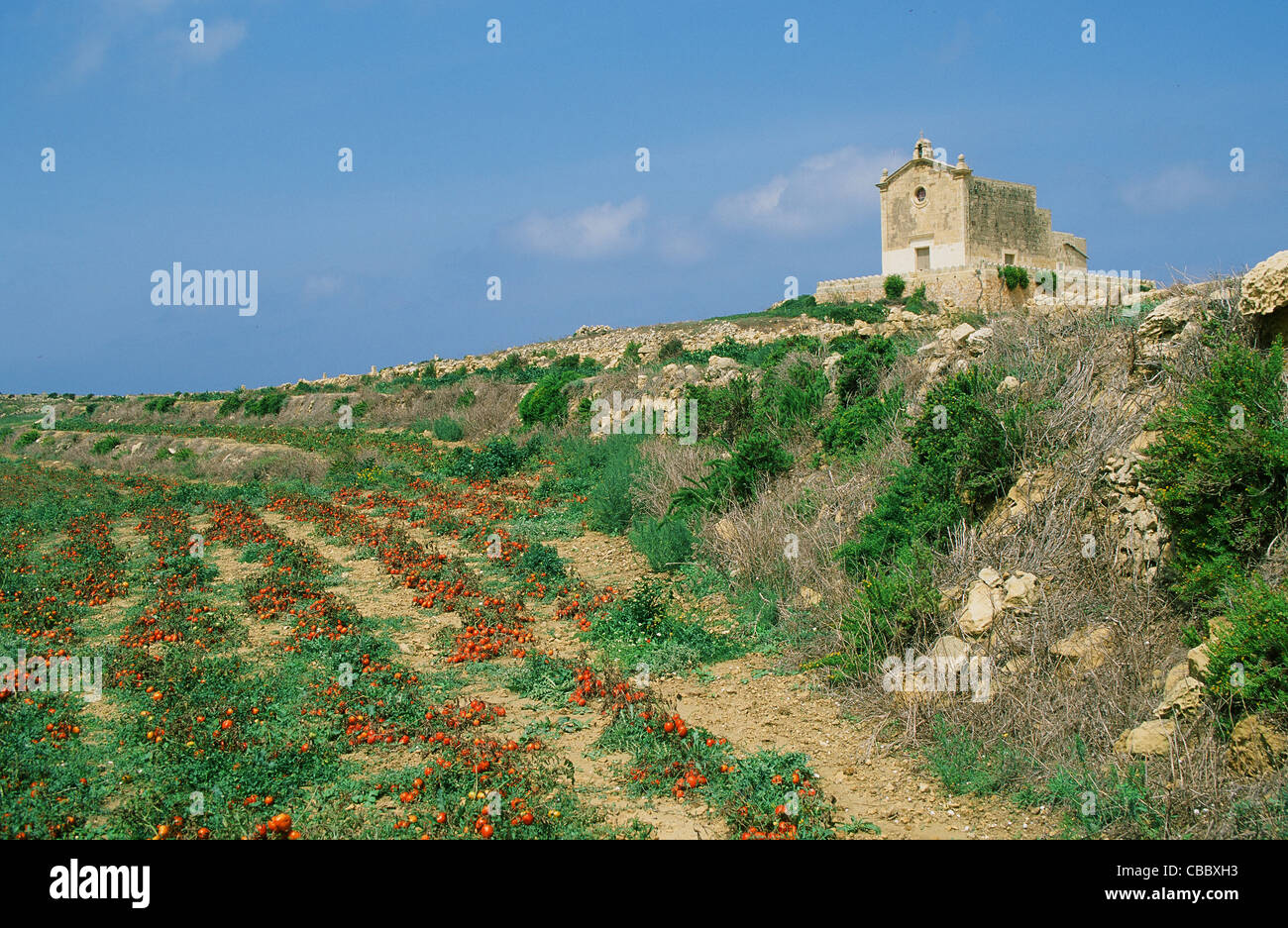 Kappella ta san dimitri hi-res stock photography and images - Alamy