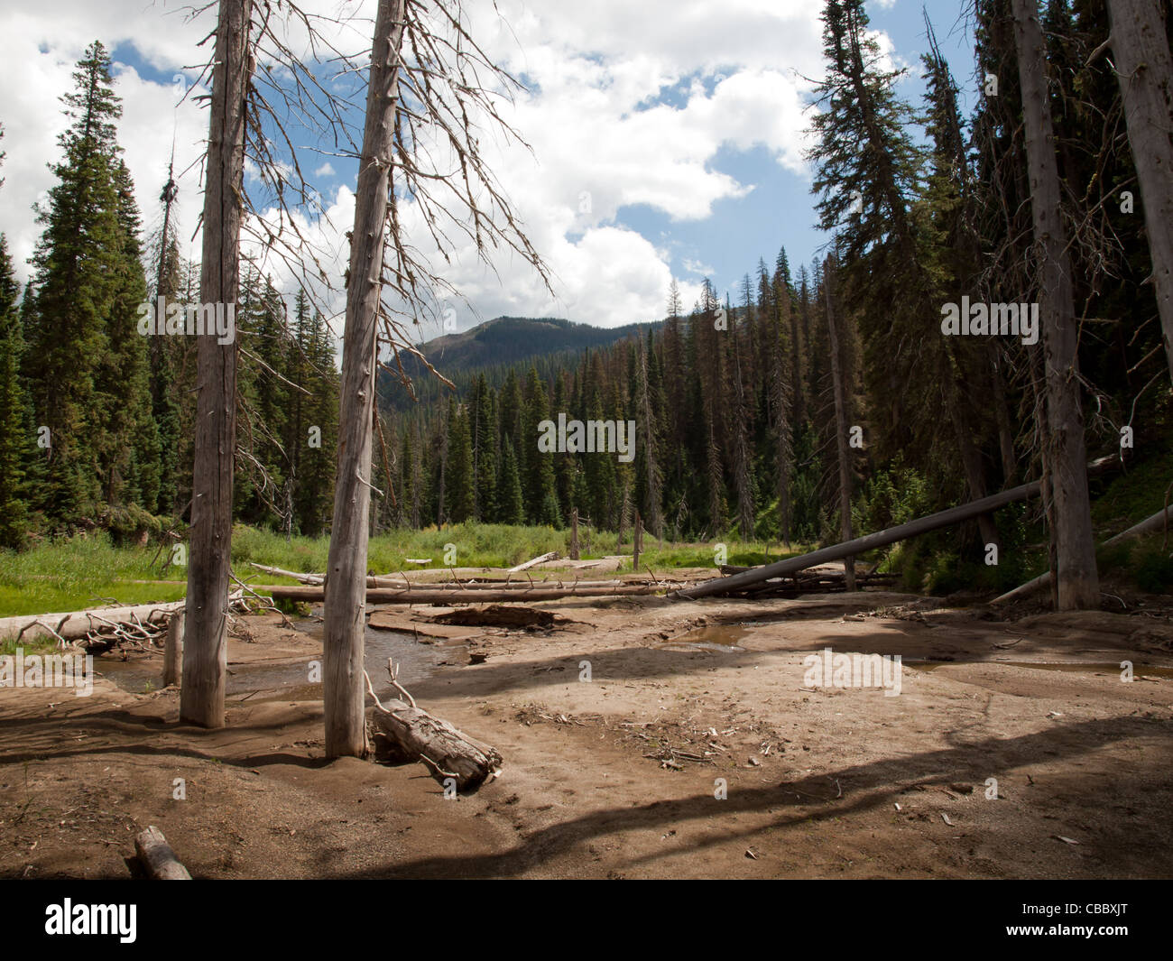 Rio grande national forest hi-res stock photography and images - Alamy