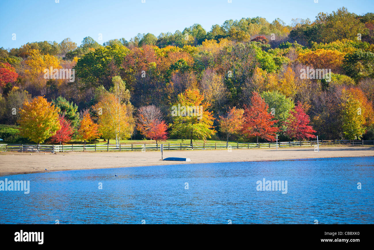 Beautiful blue lake and colorful forest in the fall Stock Photo - Alamy