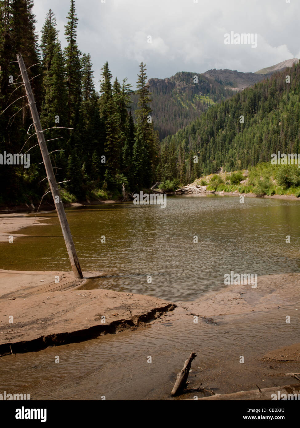 Rio Grande National Forest in Colorado Stock Photo - Alamy