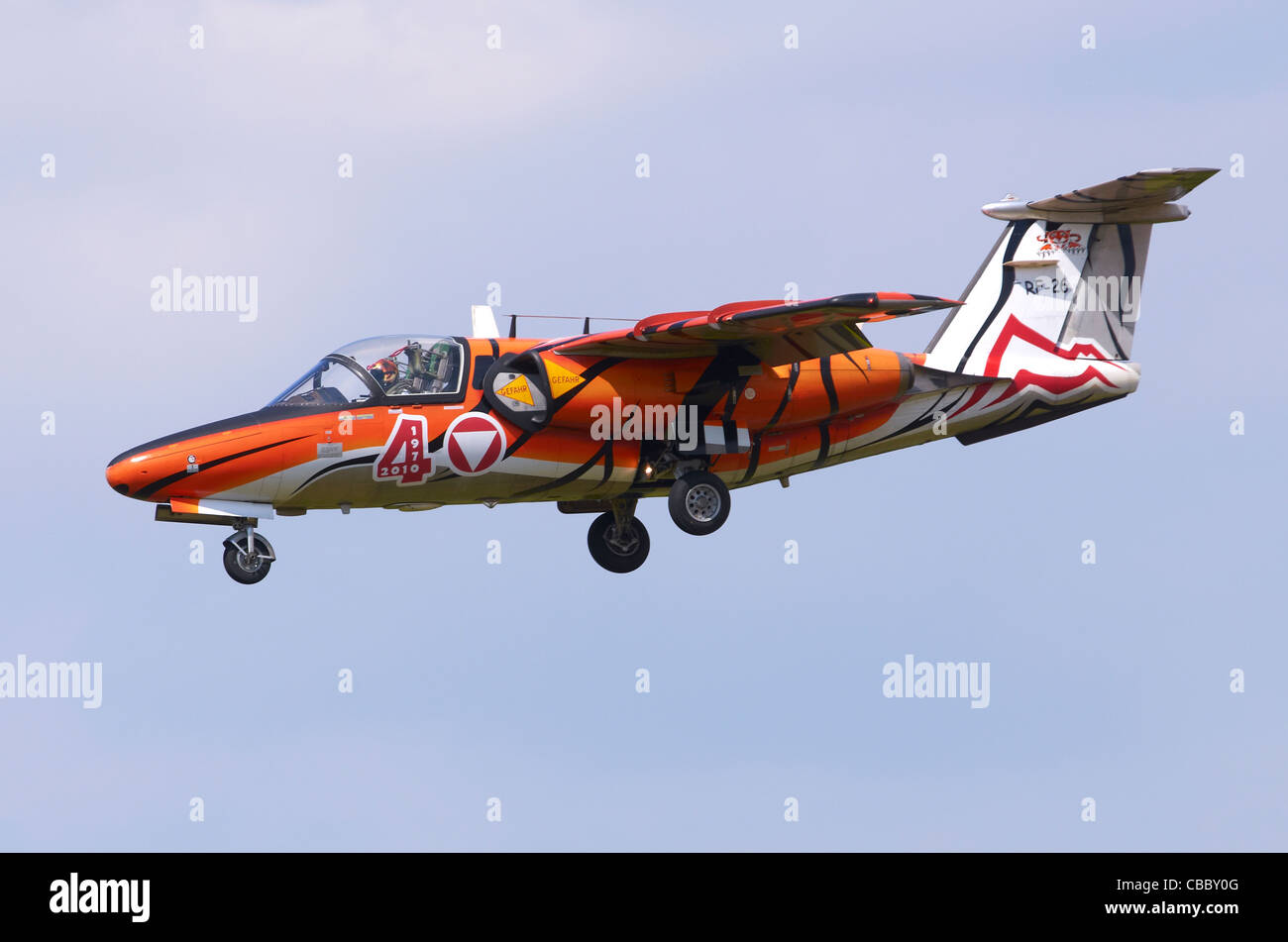 Nato tiger meet hi-res stock photography and images - Alamy