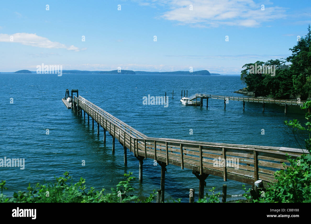 Olga san juan hi-res stock photography and images - Alamy