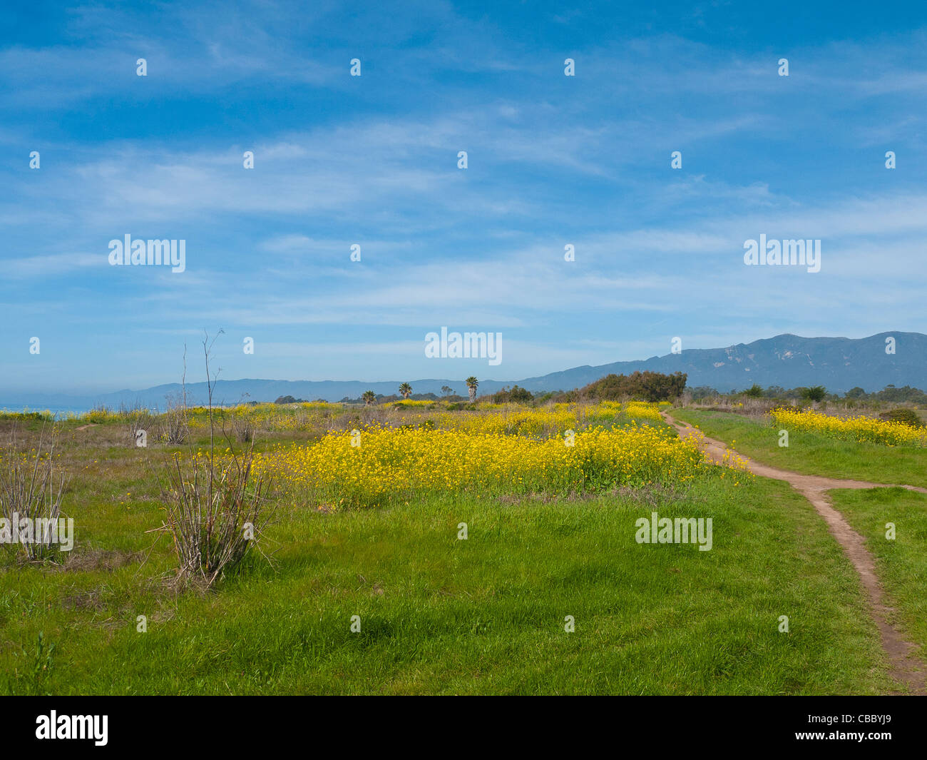 A winding dirt path leading past green grasses in to the distant with ...