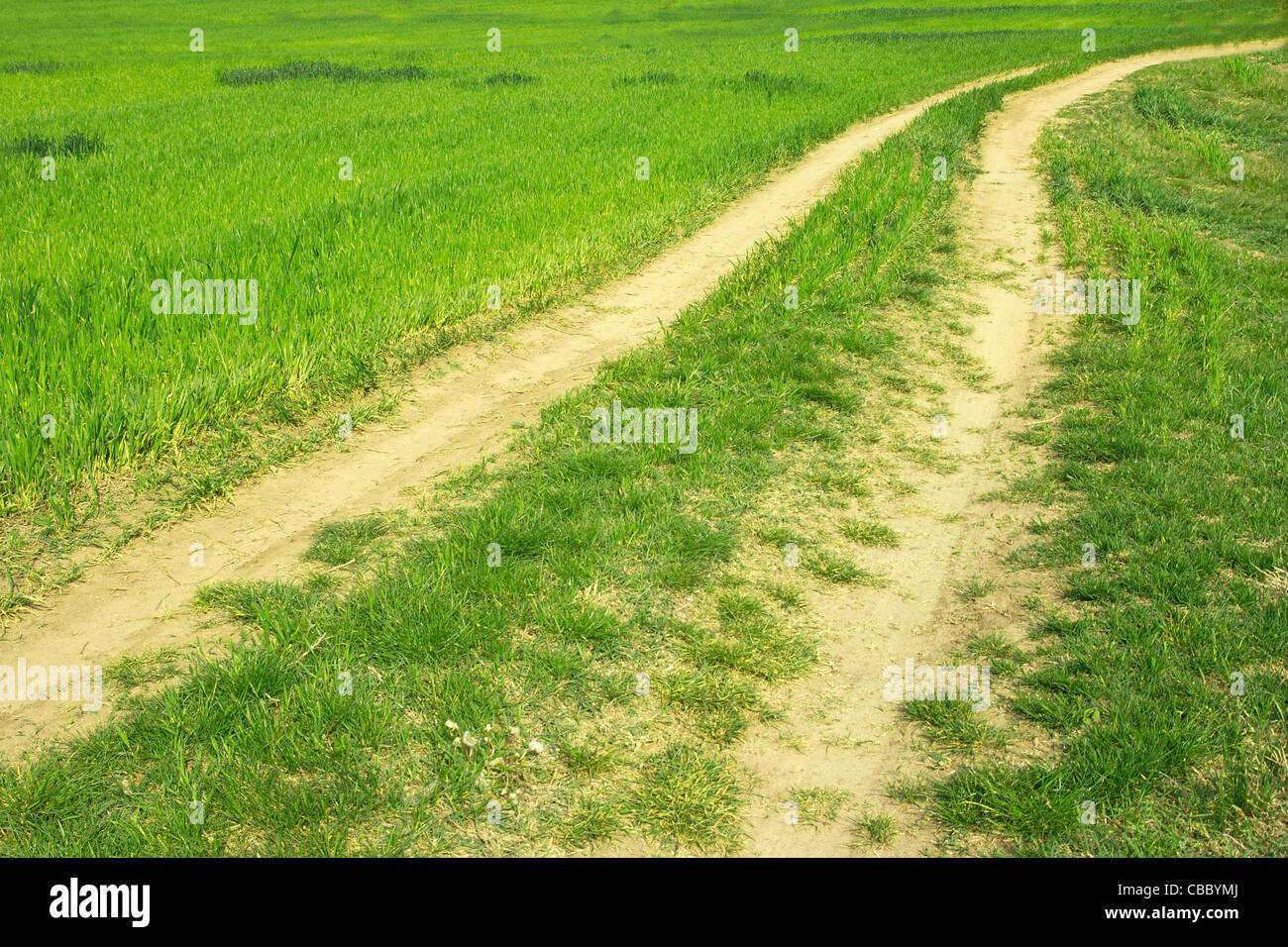 Scenic path leading through hi-res stock photography and images - Alamy