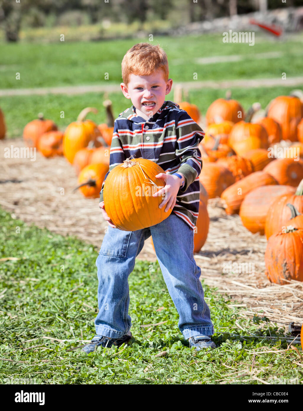 Carrying gourd hi-res stock photography and images - Alamy