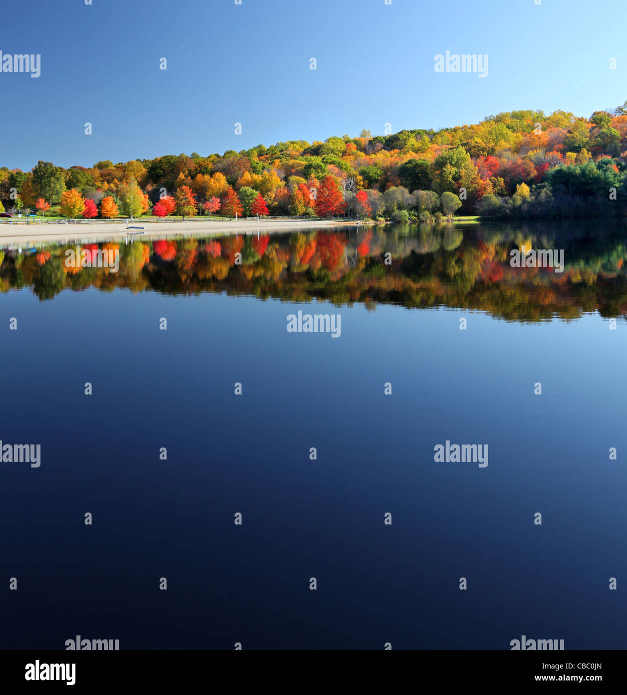 Beautiful calm lake in the fall reflecting trees Stock Photo - Alamy