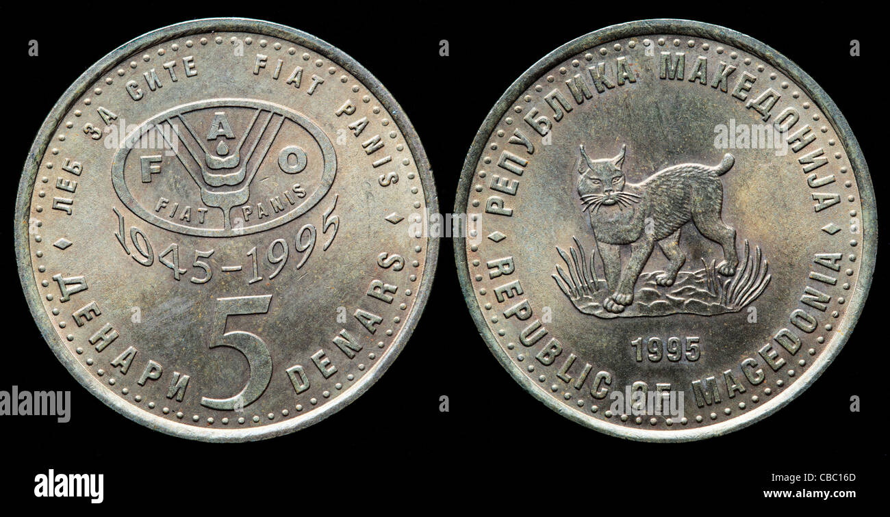 5 Denari coin, Macedonia, 1995 Stock Photo - Alamy