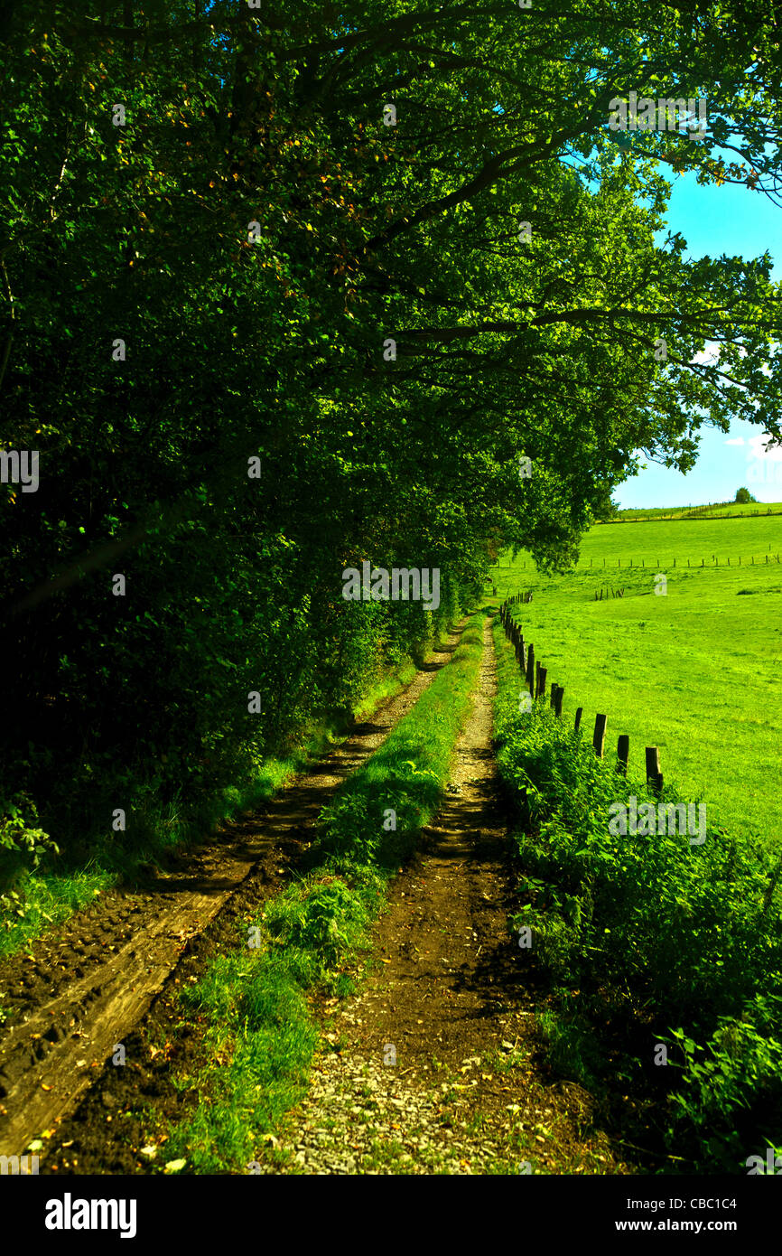 Farm wagon path with fence Stock Photo - Alamy
