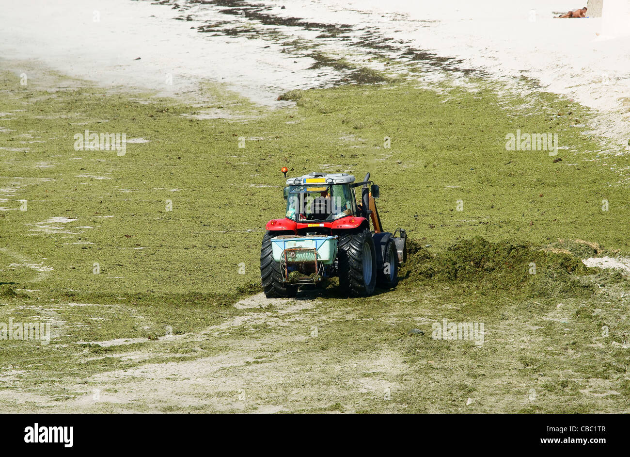Cleaning algae hi-res stock photography and images - Alamy