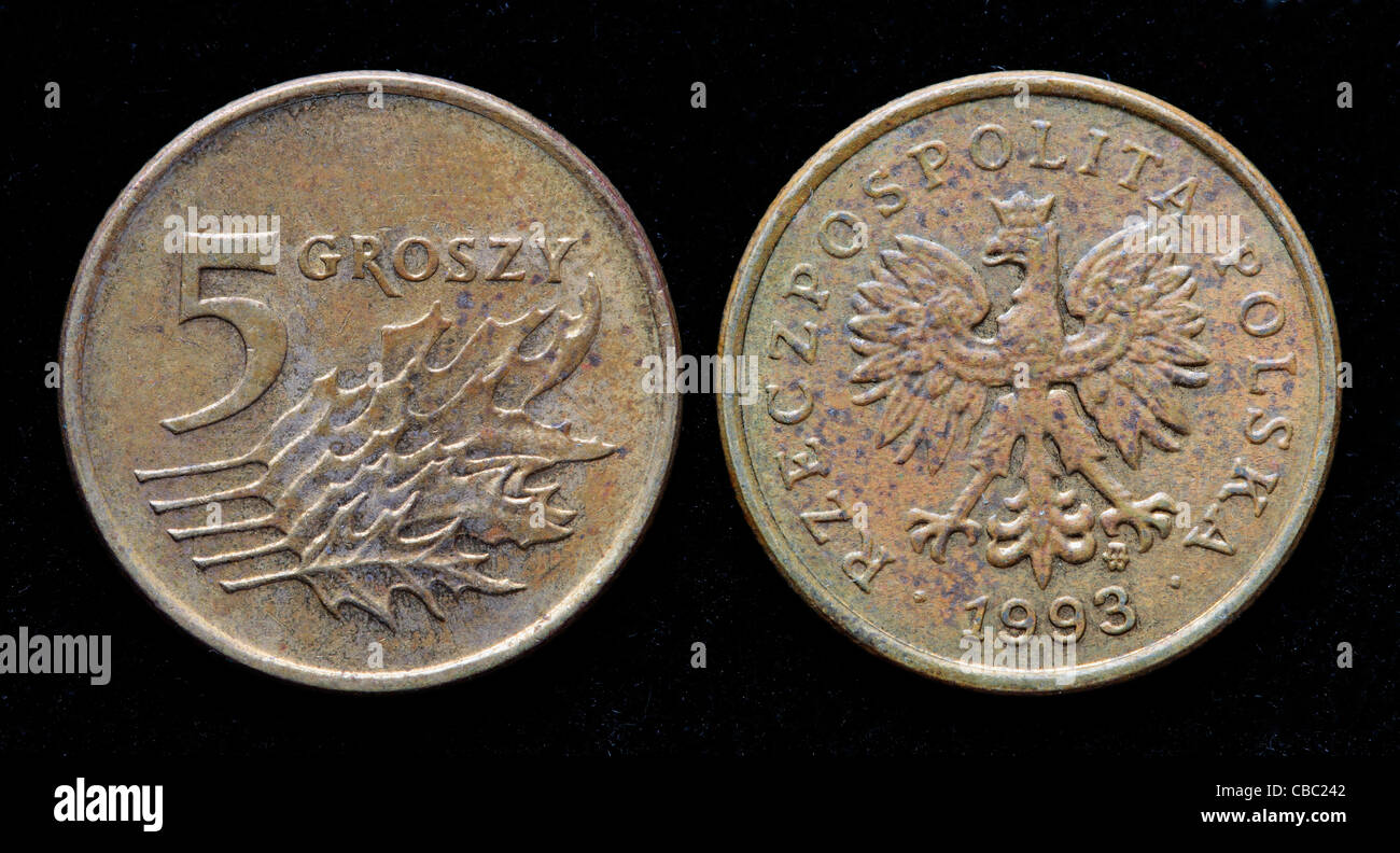 5 Groszy coin, Poland, 1993 Stock Photo - Alamy