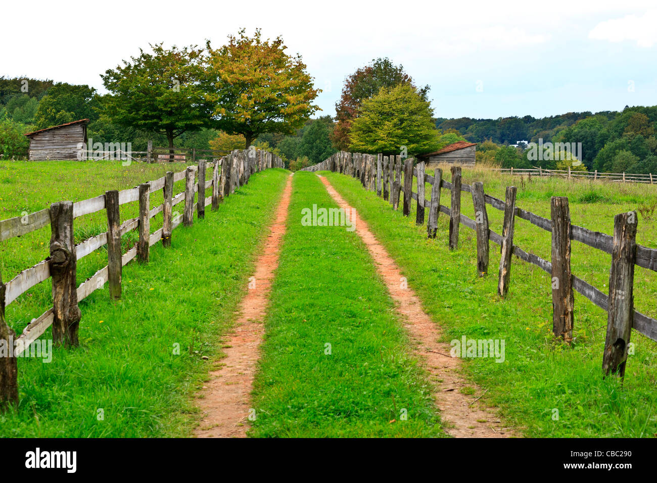 Farm wagon path with fence Stock Photo - Alamy