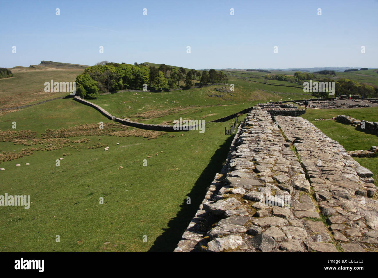 Hadrian's wall near Houseteads Roman fort, Hexham, Northumberland Stock ...