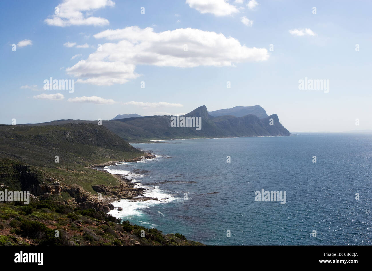 Rooikrans hi-res stock photography and images - Alamy