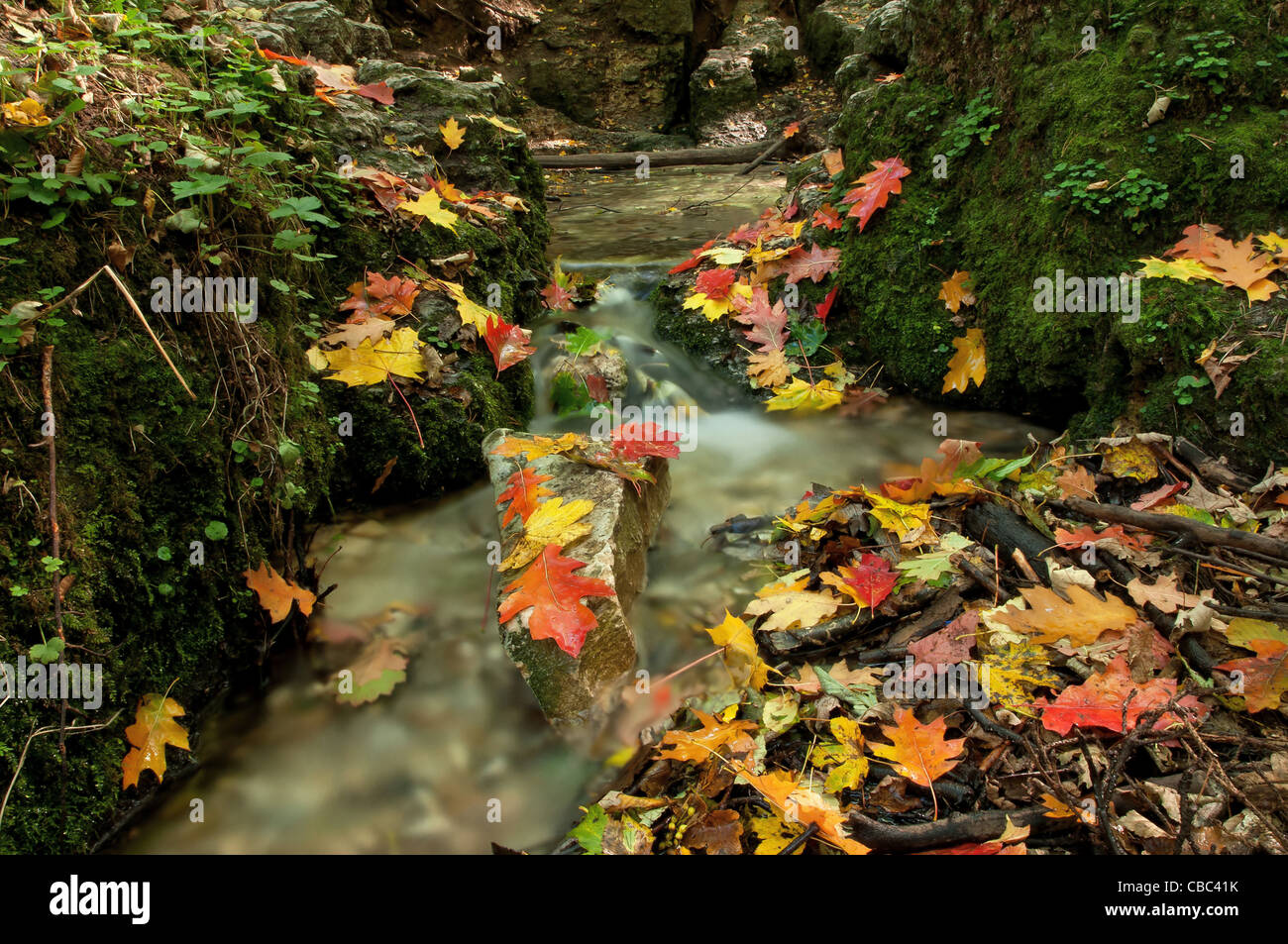 Autumn stream hi-res stock photography and images - Alamy