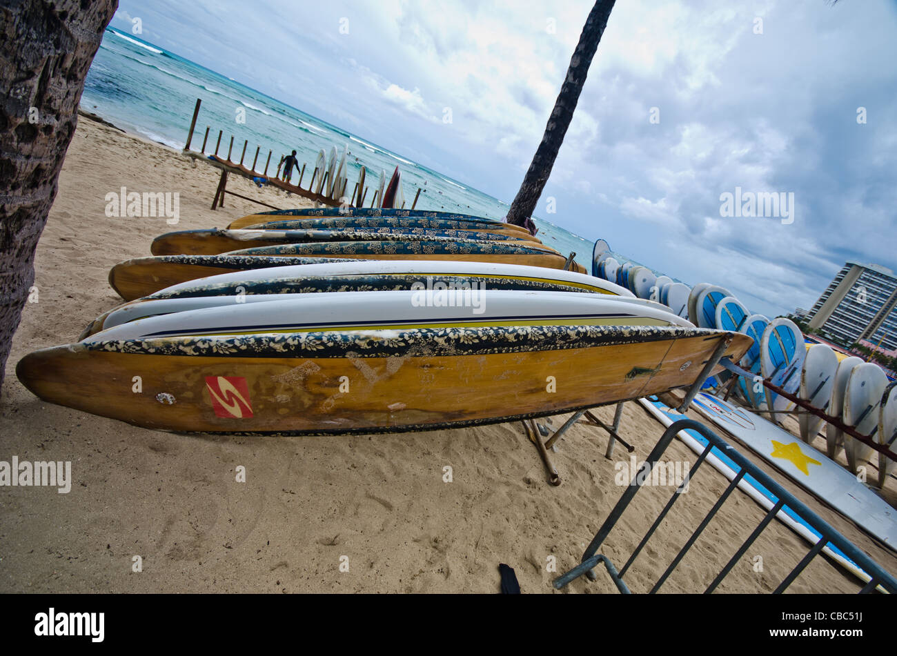 Surf boards hi-res stock photography and images - Alamy