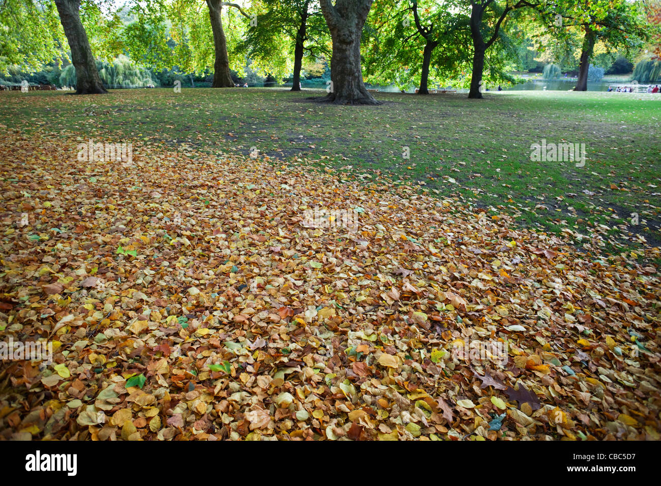 London autumn foliage hi-res stock photography and images - Alamy