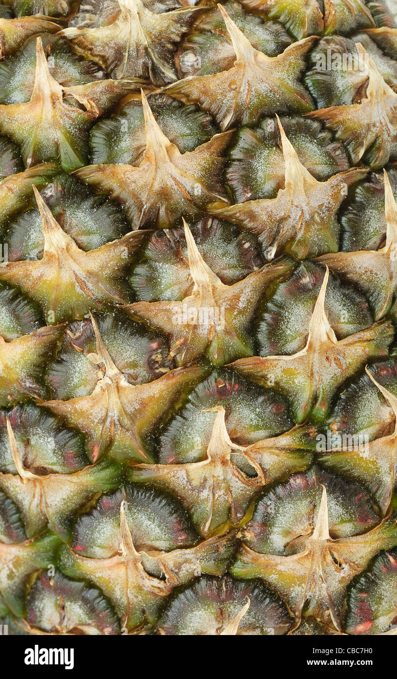 Pineapple texture. A detailed photo close up Stock Photo - Alamy
