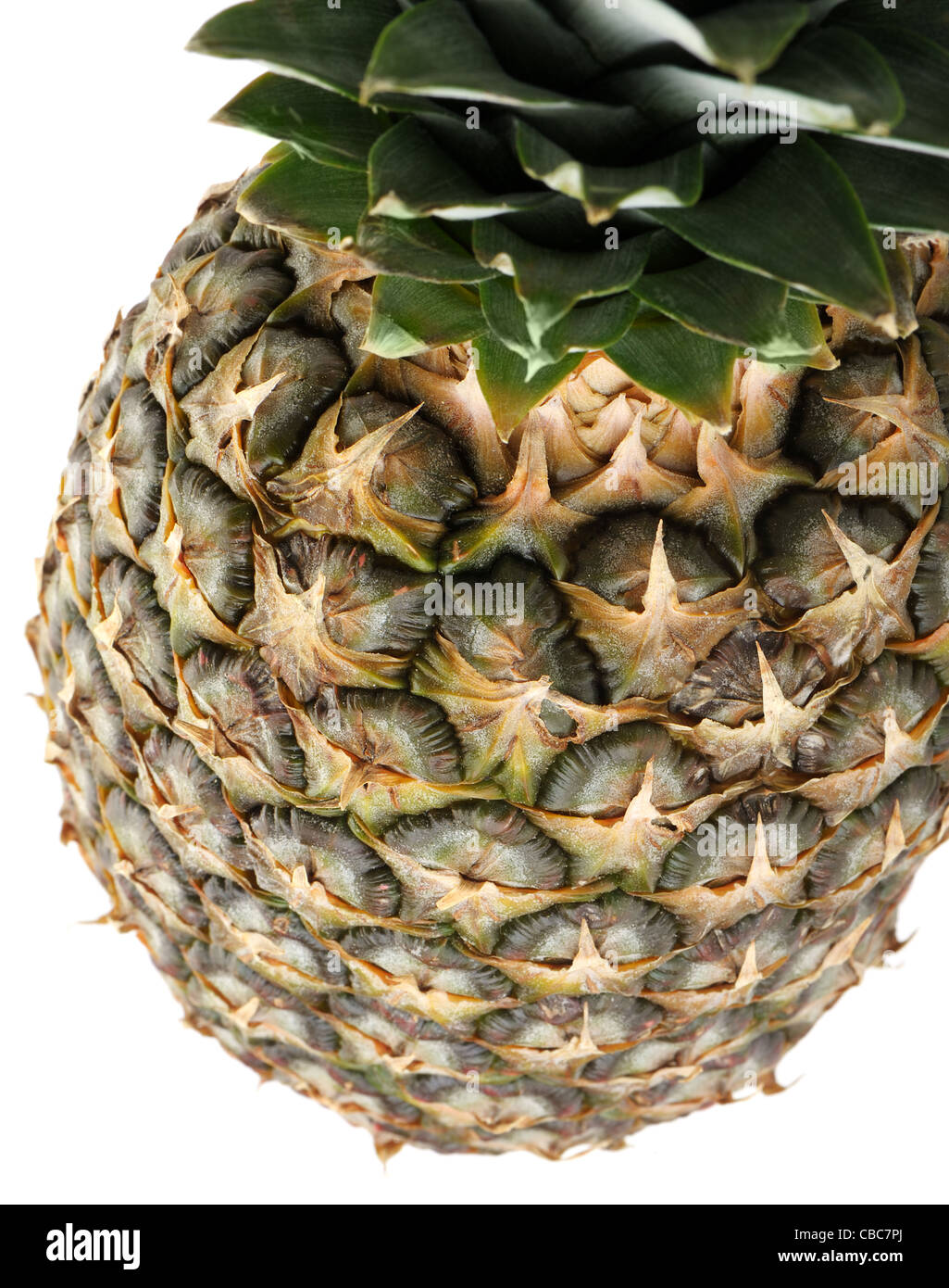 Pineapple. A photo with top. It is isolated on a white background Stock ...